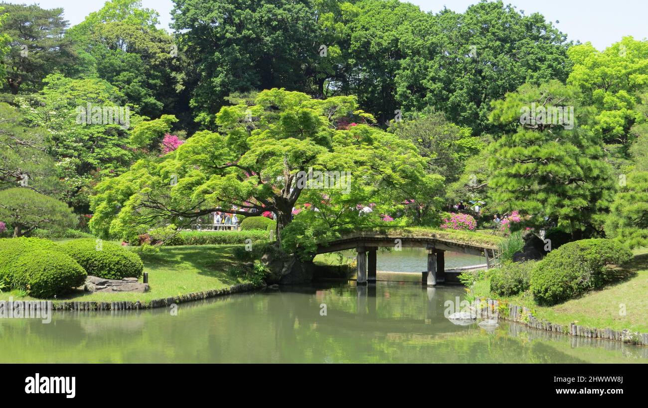 Traditional Japanese Garden in Spring Stock Photo - Alamy