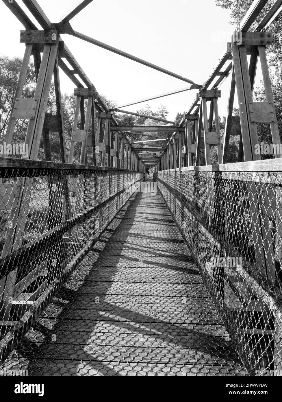 Walking and Cycleway Bridge Perspective over river in Black and White ...