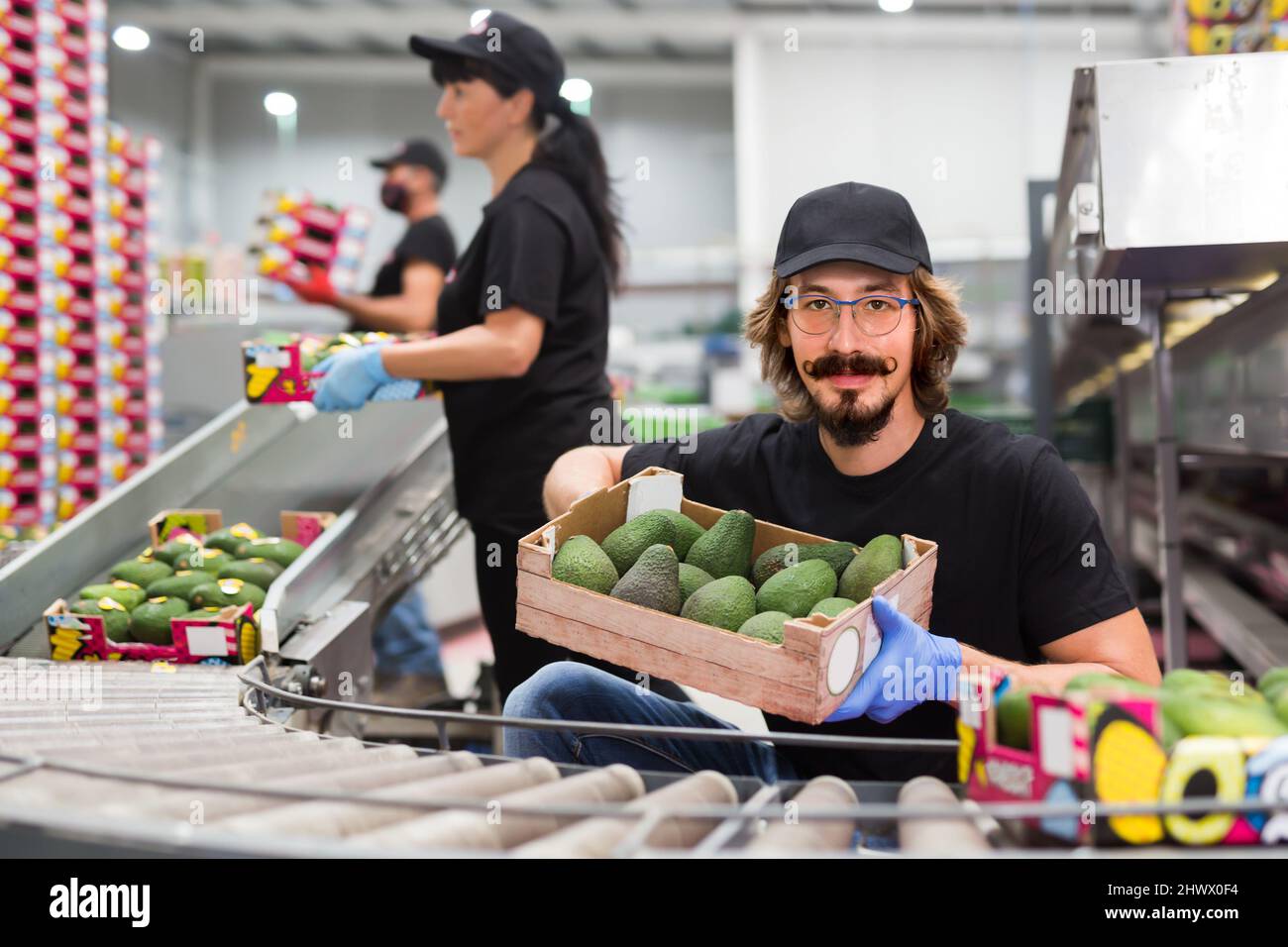 Workers packing fruits hi-res stock photography and images - Alamy