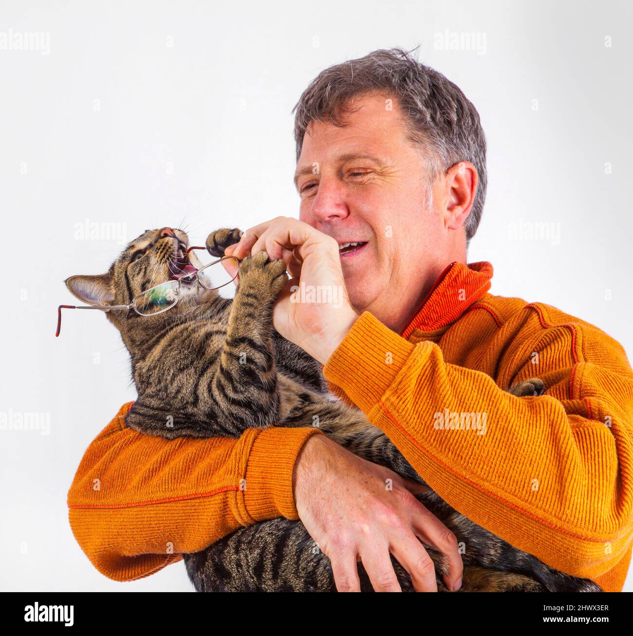 Playing cat glasses hi-res stock photography and images - Alamy