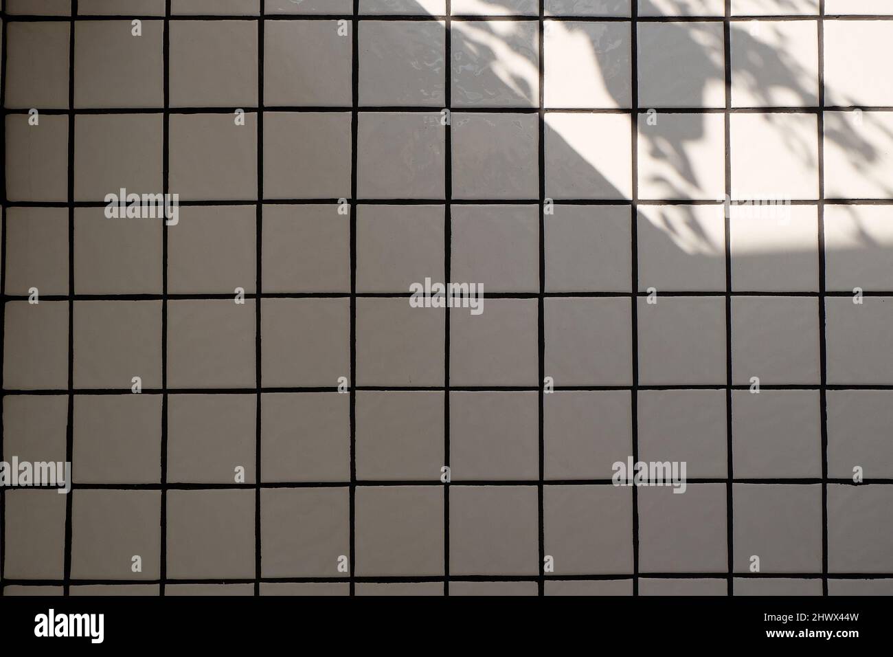 White wall tile texture and surface Stock Photo - Alamy