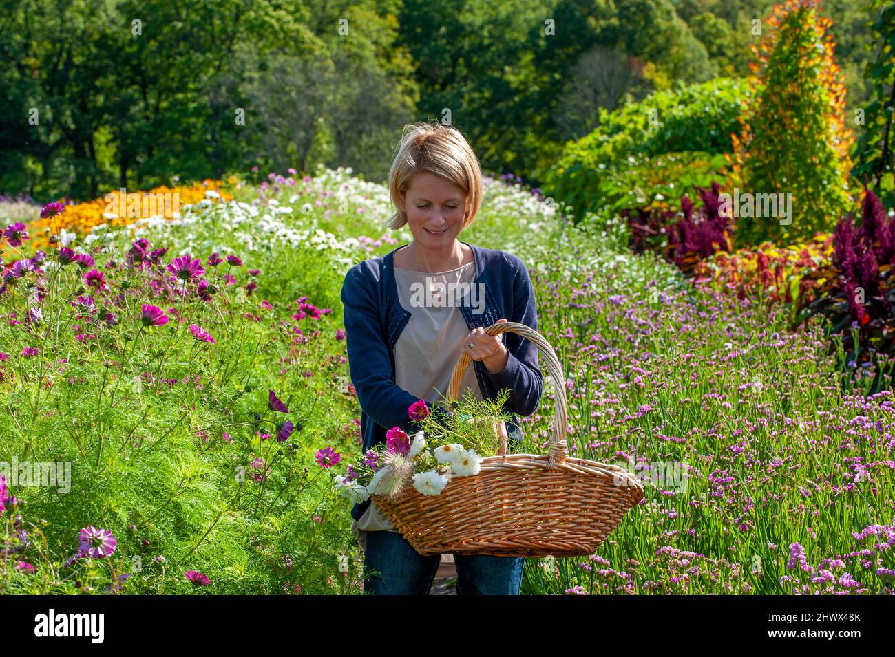 Woman and basket of flowers hi-res stock photography and images - Alamy