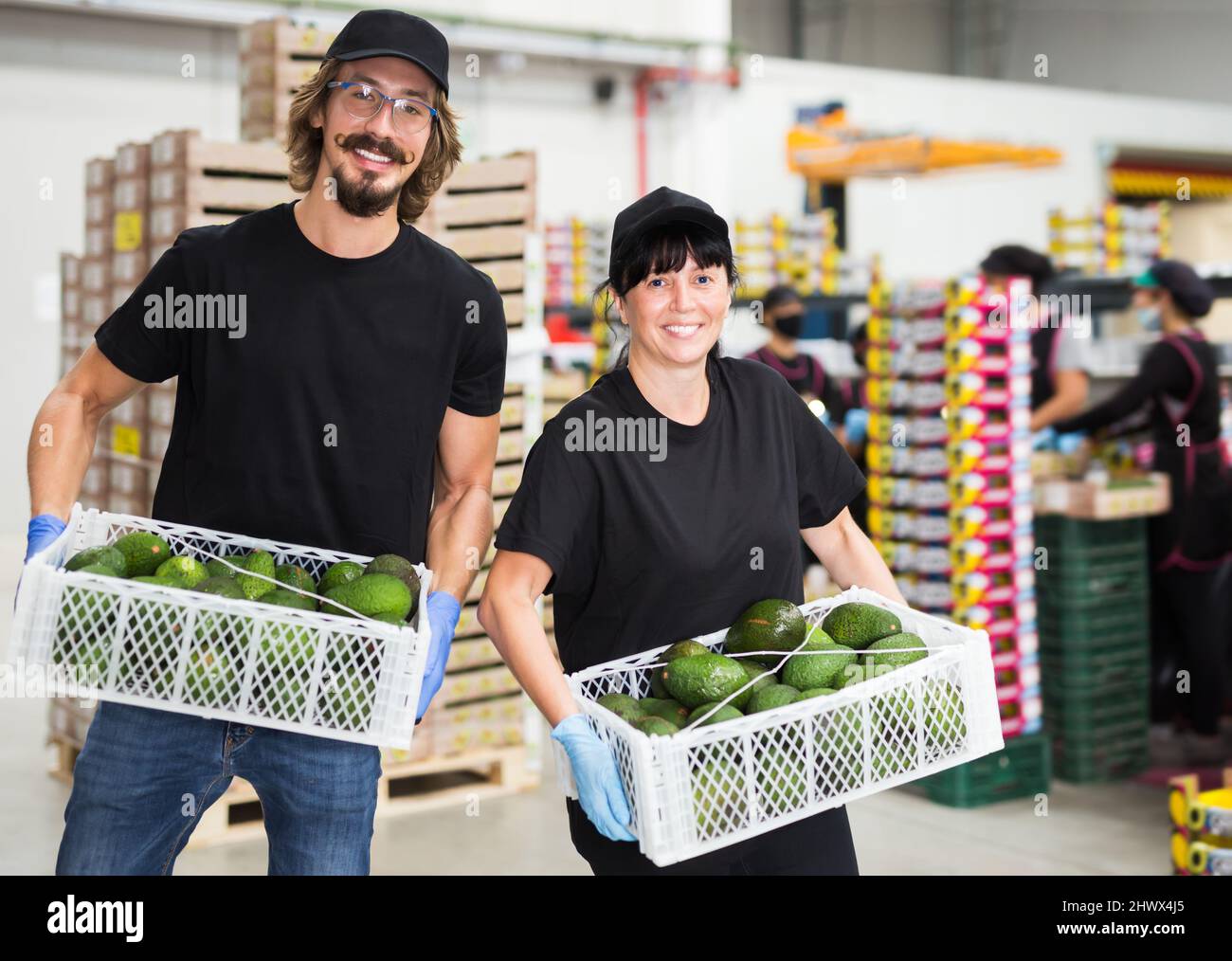 Fruits factory hi-res stock photography and images - Alamy