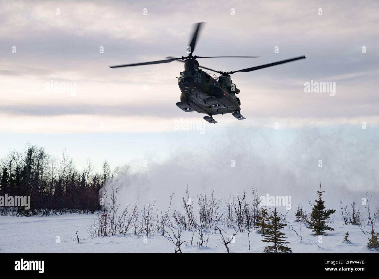 A Canadian Crew lands a CH147 Chinook on a snow covered field during a ...