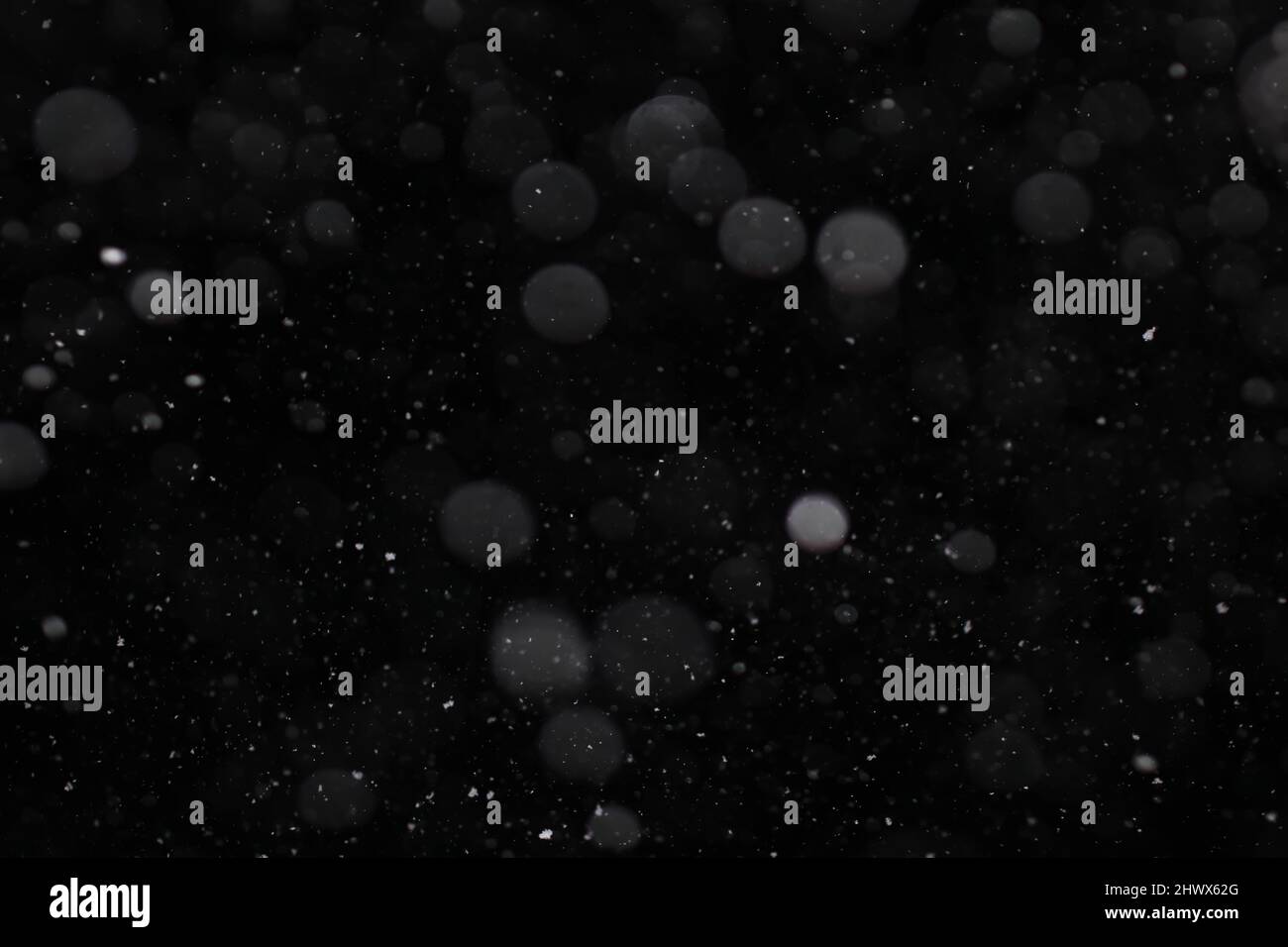 Snow on a black background. Snowflakes overlay. Snow background Stock ...