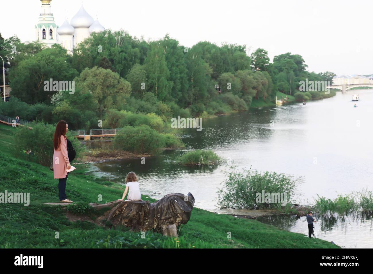 Spring nature background. Greenery trees and grasses on a sunny spring ...