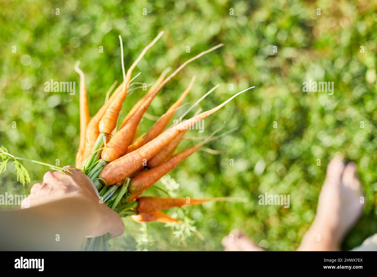 Top view female barefoot leg on grass with branch of raw organic ...