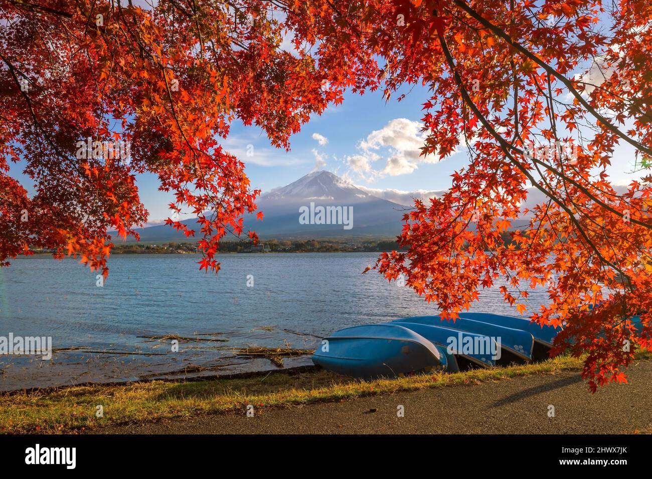 Mt. Fuji in autumn with red maple leaves at Kawaguchigo lake Japan Stock Photo - Alamy