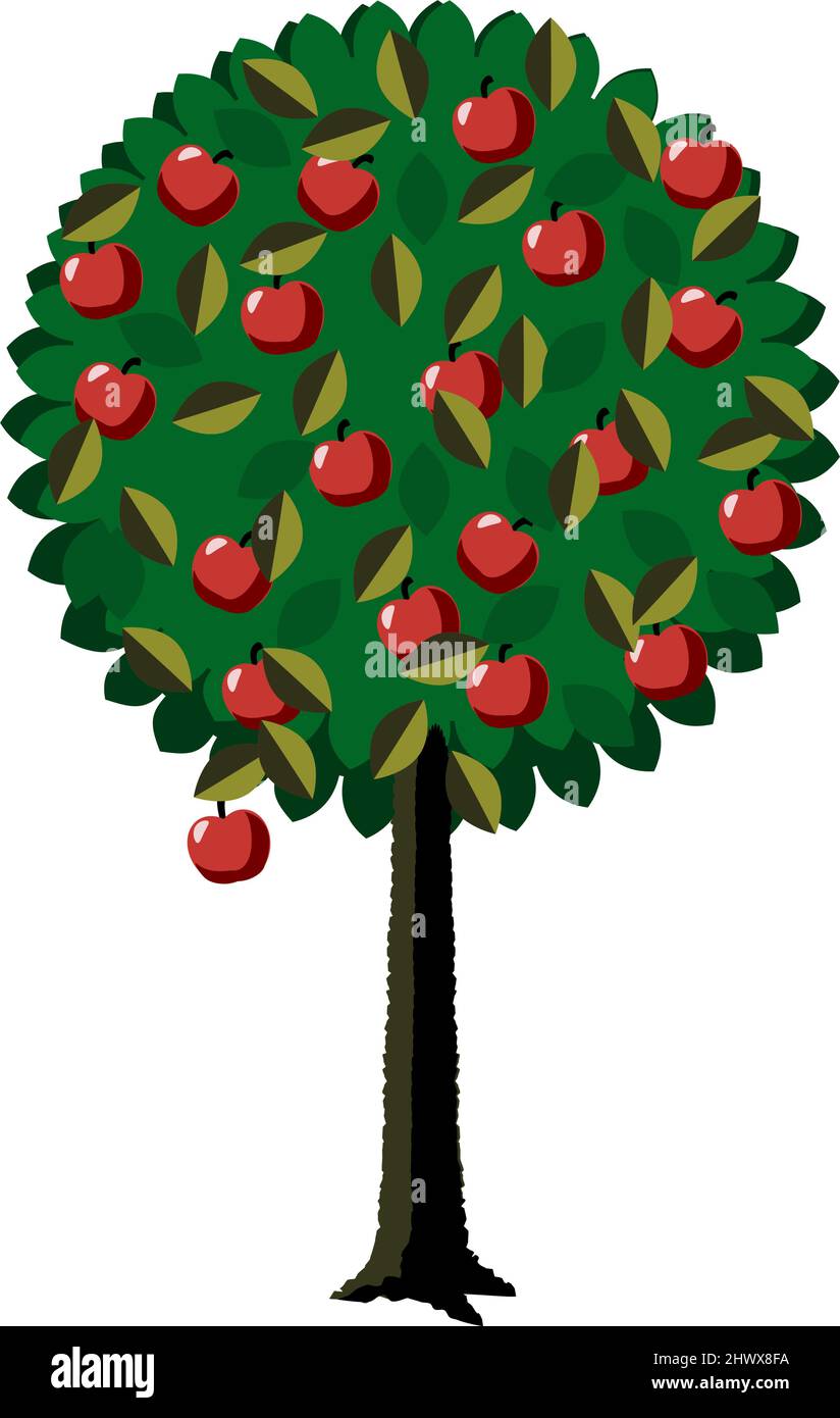 Fruit under Stock Vector Images - Alamy