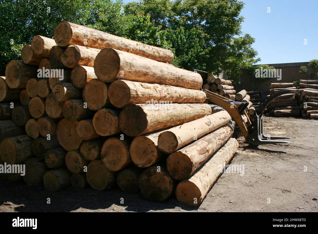 Lumber industry. Logs at a sawmill Stock Photo - Alamy