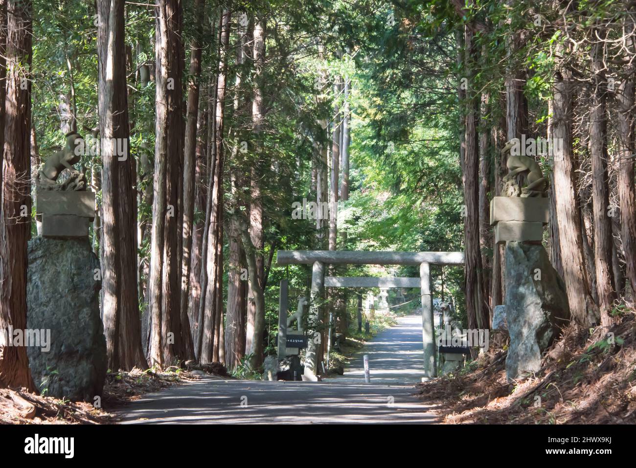 The approach to Kamayama Shrine, Yorii, Saitama, Japan Stock Photo - Alamy