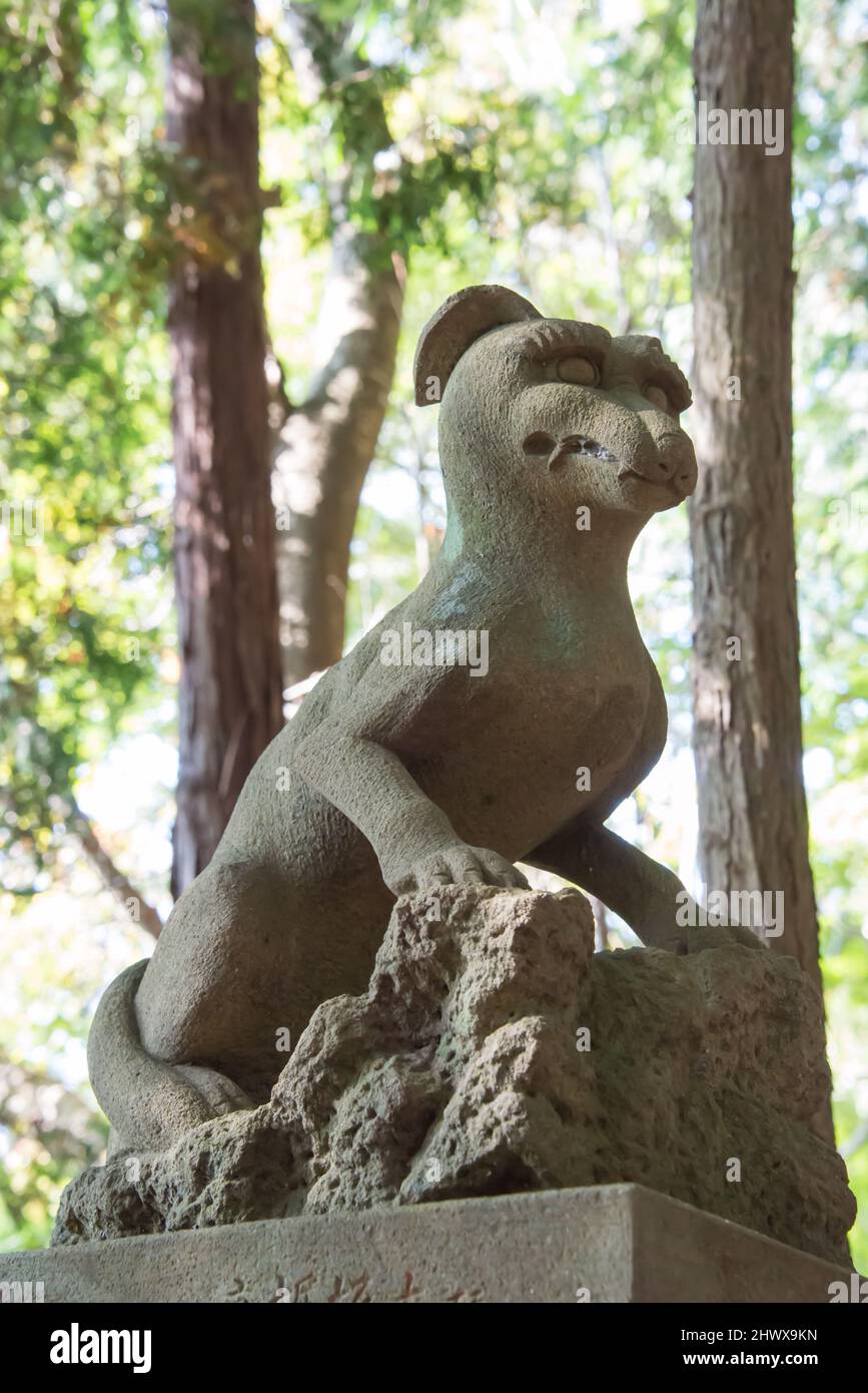 Guardian Wolfs of Kamayama Shrine in Yorii,Saitama,Japan Stock Photo ...