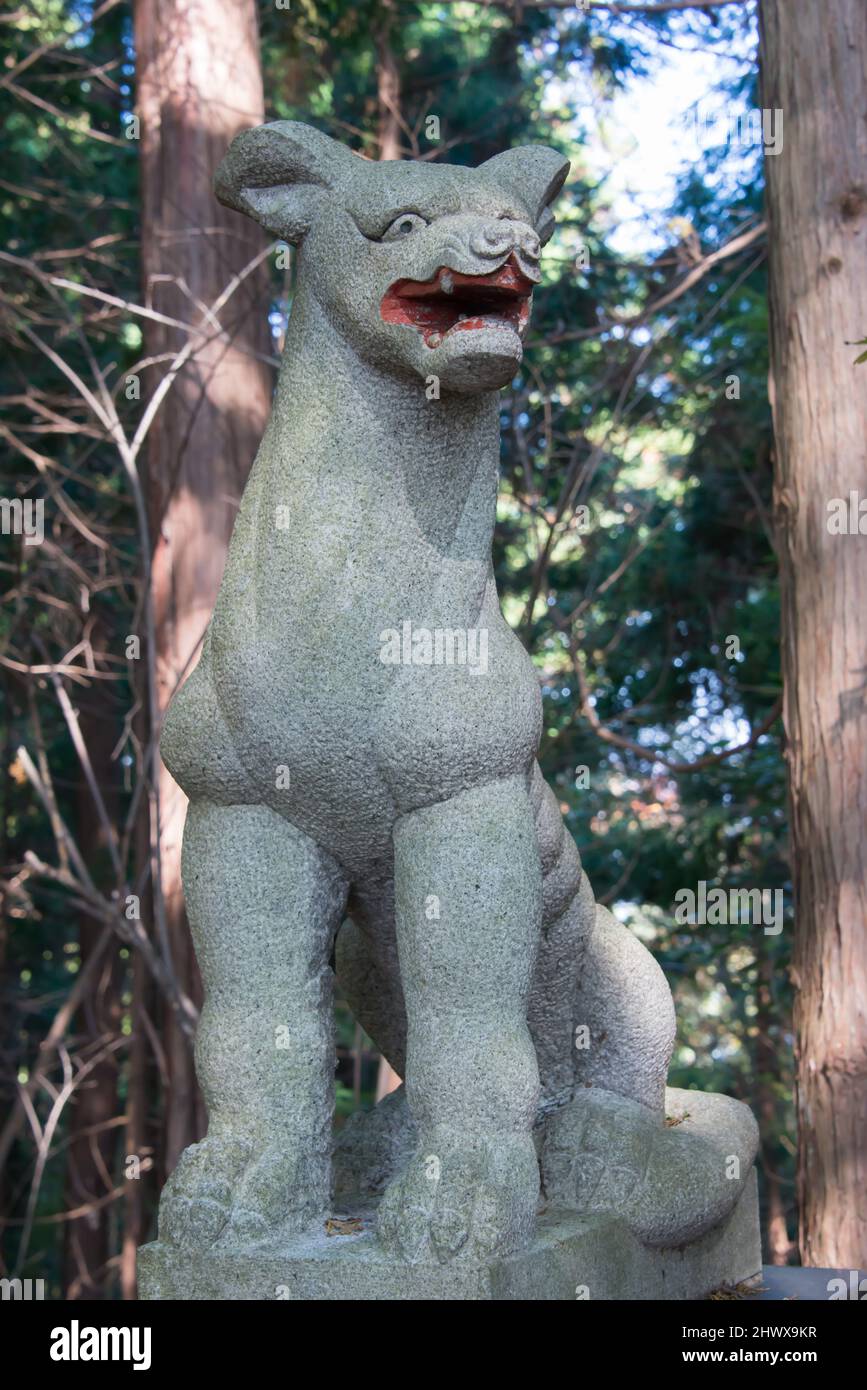 Ancient asian wolf hi-res stock photography and images - Alamy