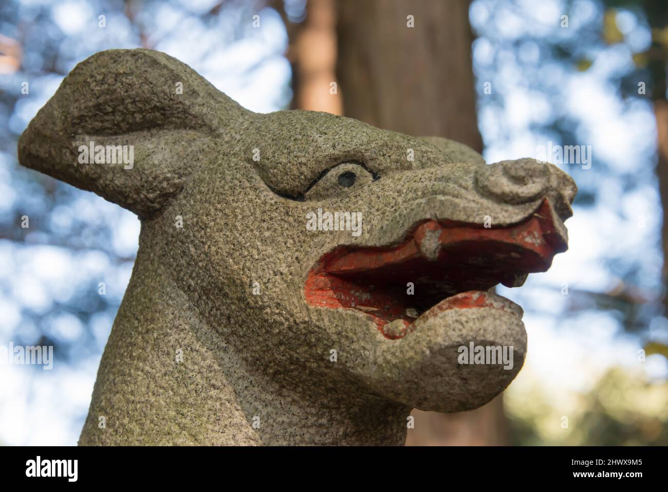 Guardian Wolfs of Kamayama Shrine in Yorii,Saitama,Japan Stock Photo ...