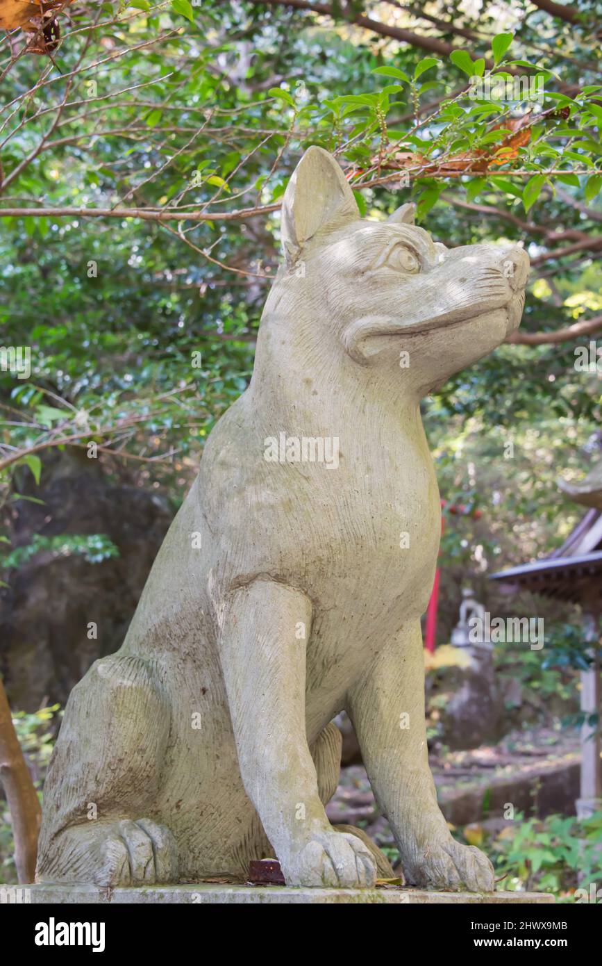 Guardian Wolfs of Kamayama Shrine in Yorii,Saitama,Japan Stock Photo ...