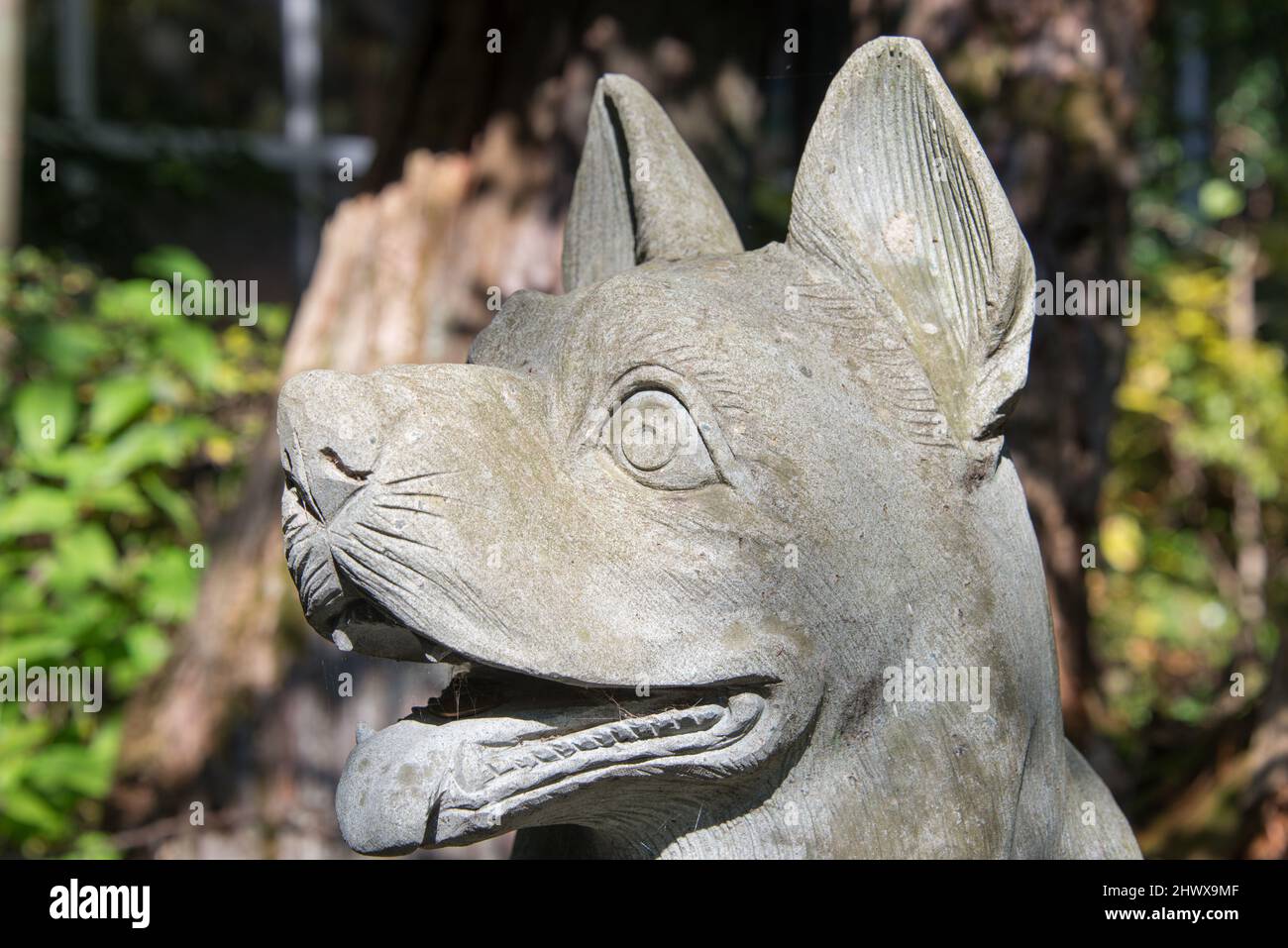 Guardian Wolfs of Kamayama Shrine in Yorii,Saitama,Japan Stock Photo ...