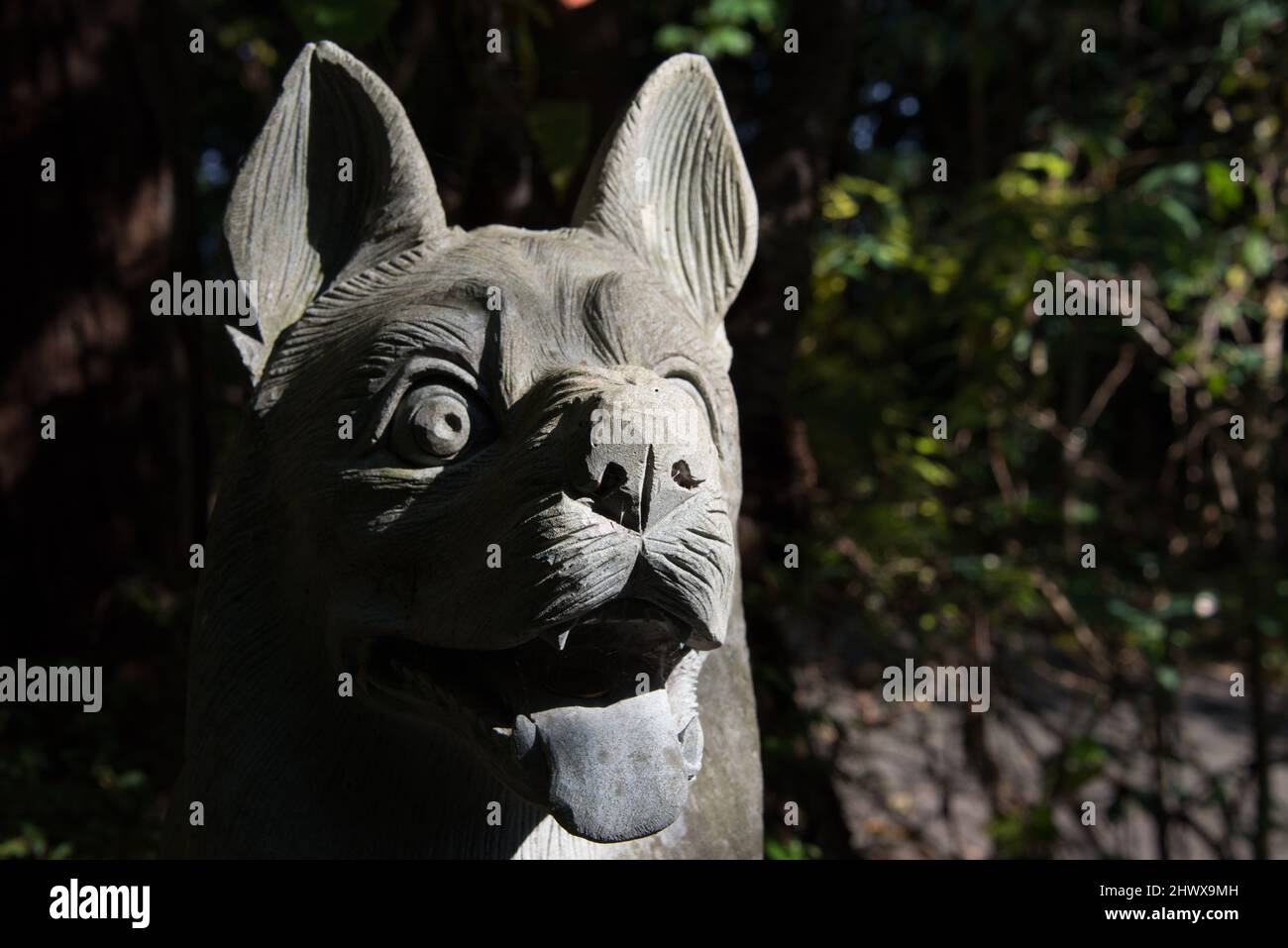 Guardian Wolfs of Kamayama Shrine in Yorii,Saitama,Japan Stock Photo ...