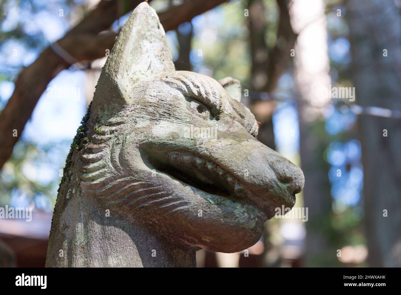 Guardian Dogs at Mitsumine Shrine,chichibu,Saitama,Japan Stock Photo ...
