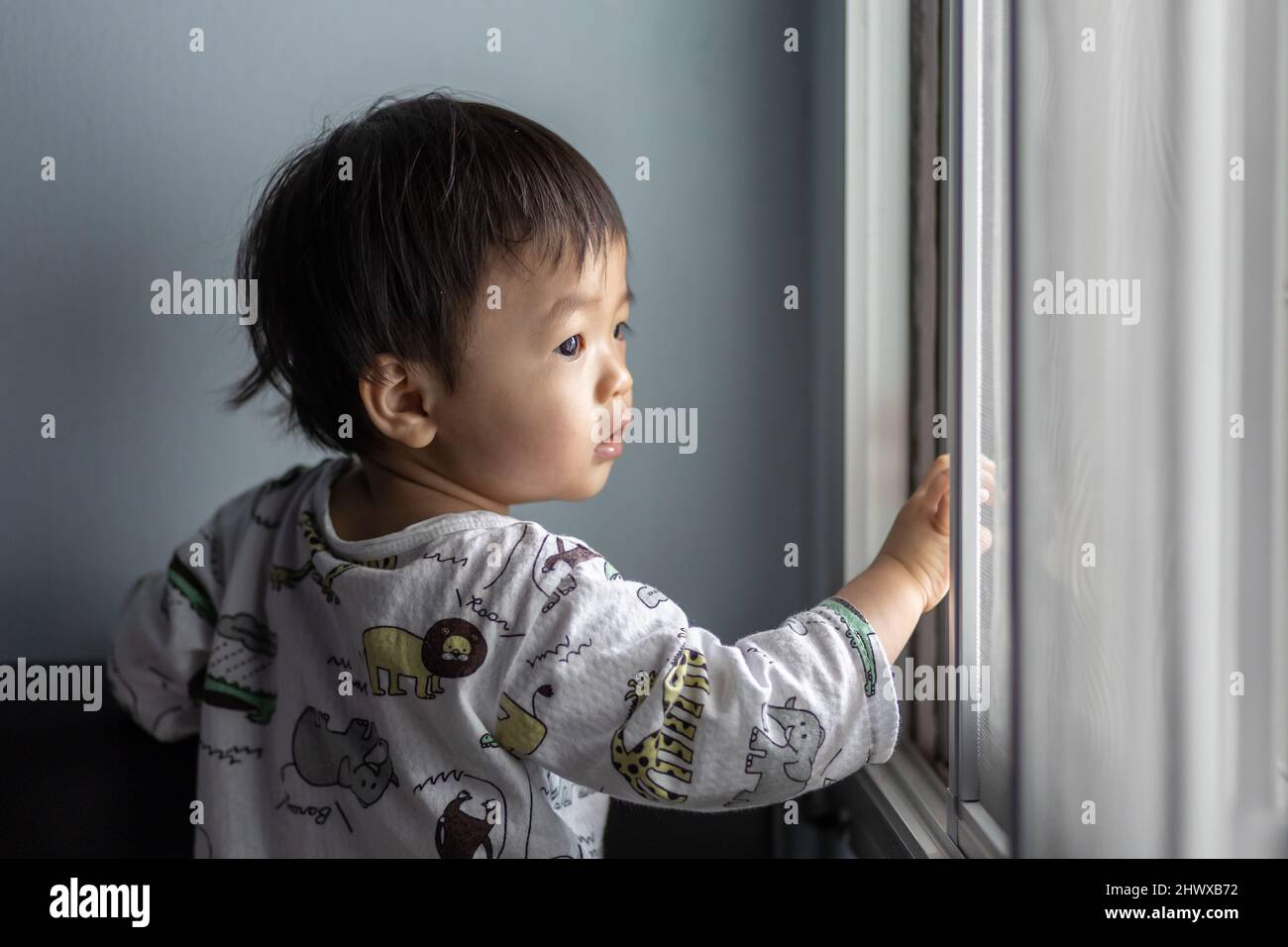 cute Asian Chinese 1 years old Asian Chinese baby boy playing around ...