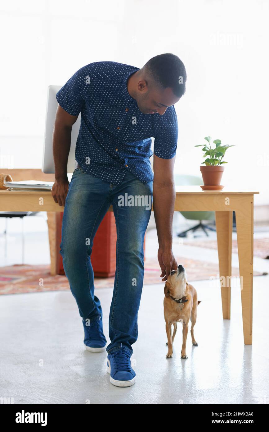 Hes the office security guard. A young businessman petting a small dog ...