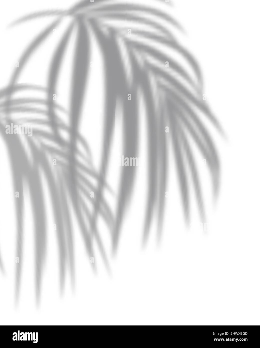 Bush png Cut Out Stock Images & Pictures - Alamy