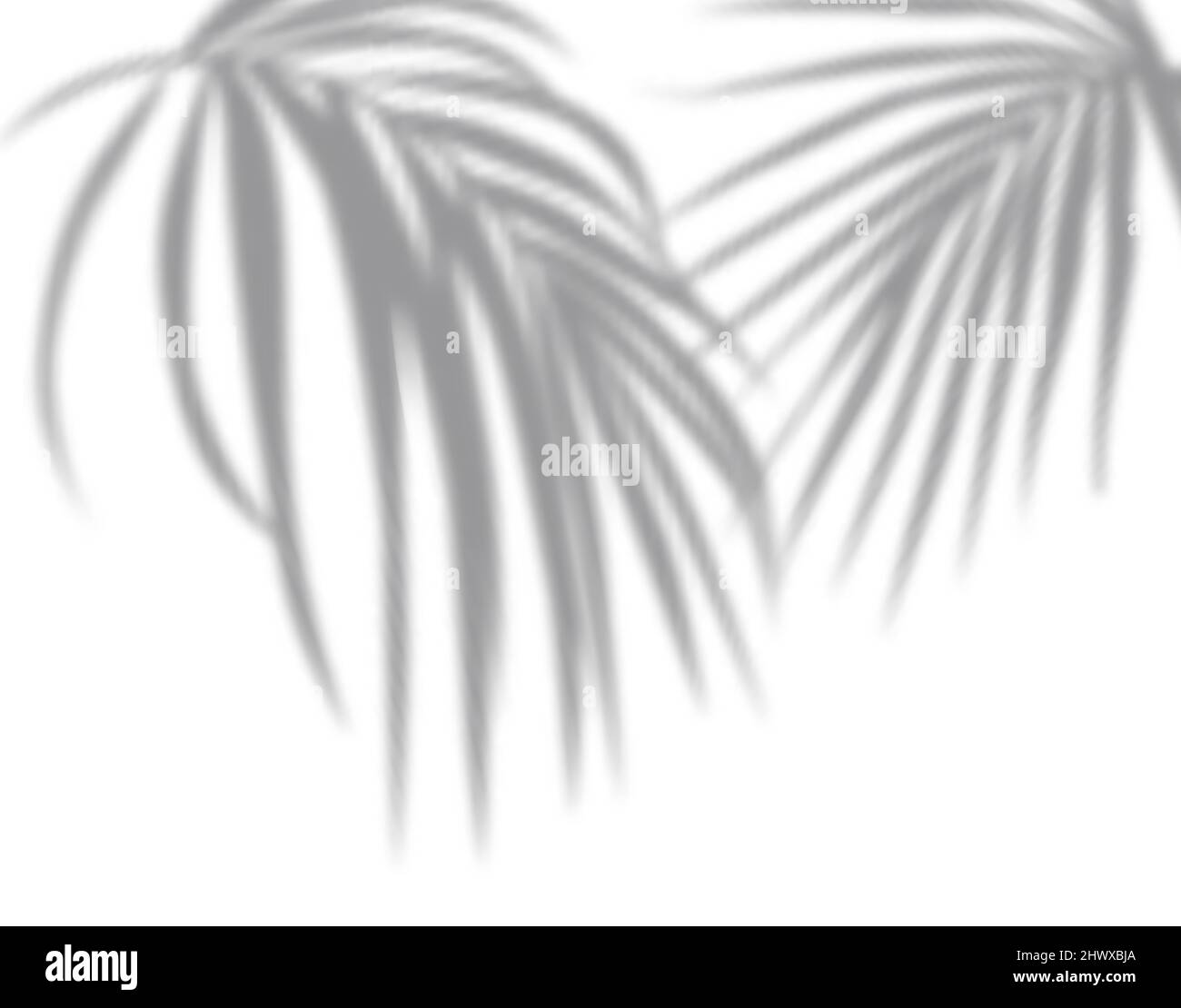 Leaf shadows on bamboo Stock Vector Images - Alamy