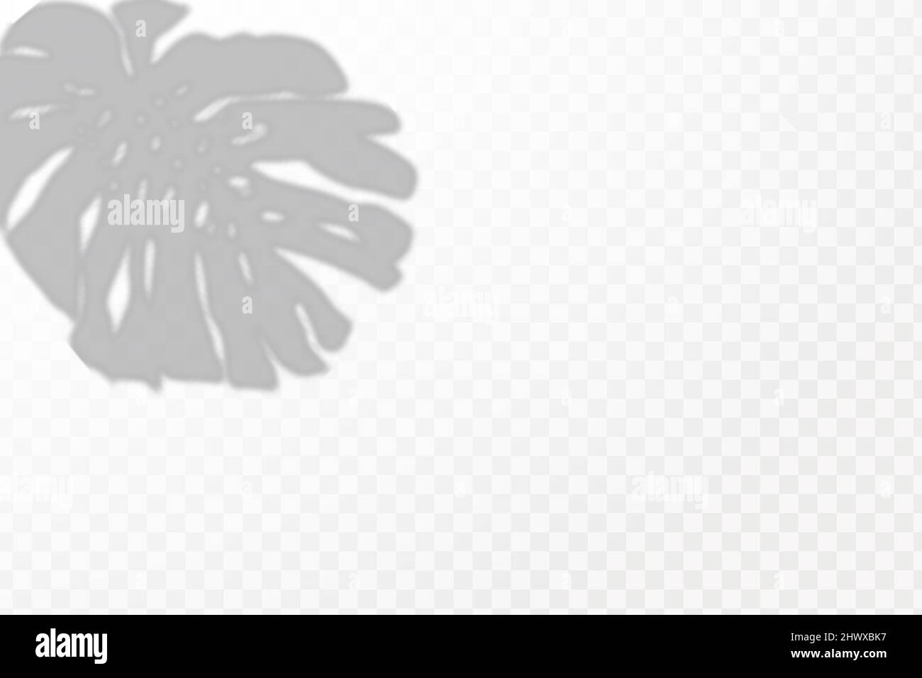 Leaf shadows on bamboo Stock Vector Images - Alamy