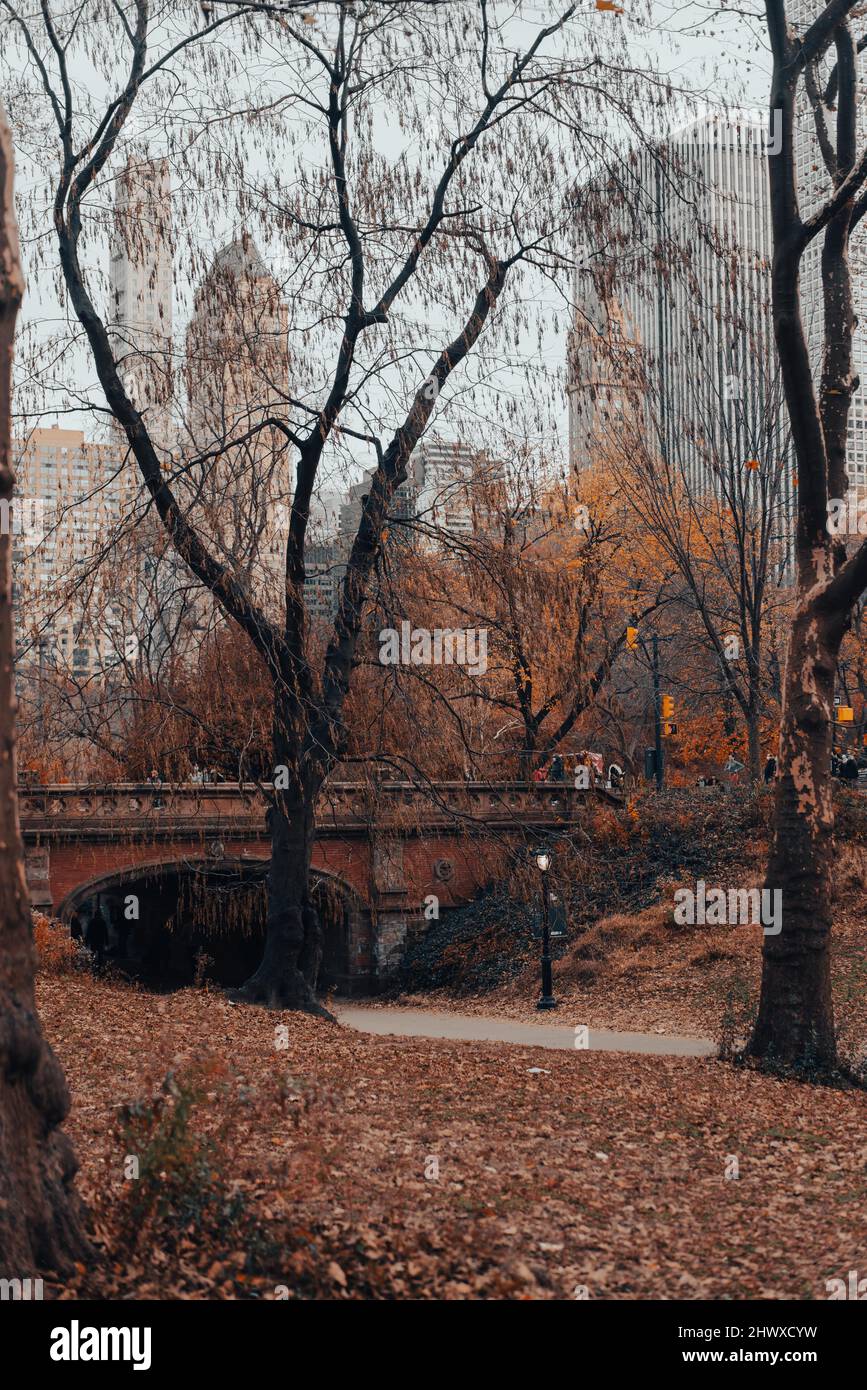 Central Park, Golden Hour Stock Photo - Alamy