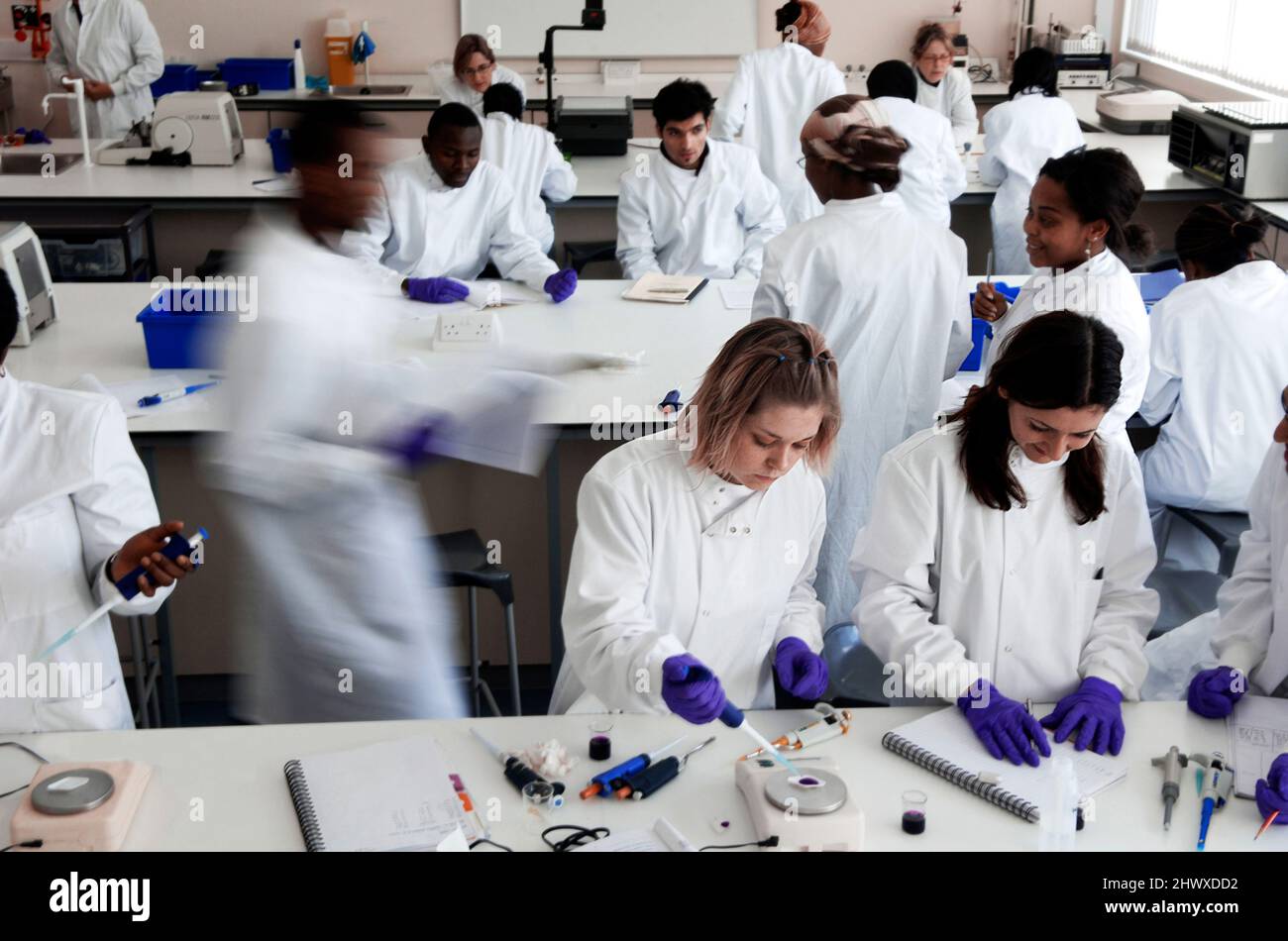 Students working in a university science laboratory Stock Photo - Alamy