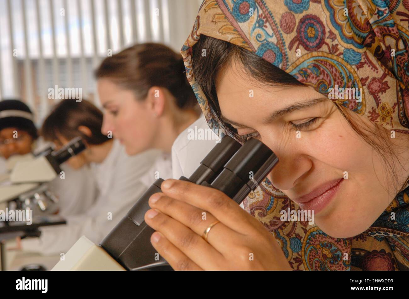 Science students using microscopes to analyse biological samples in a ...