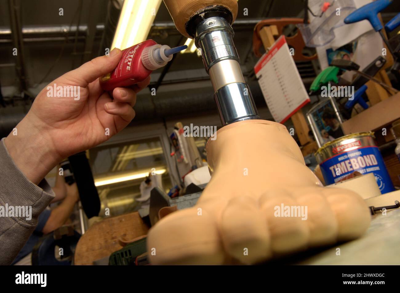 A technician building a prosthetic leg at a prosthesis workshop Stock ...