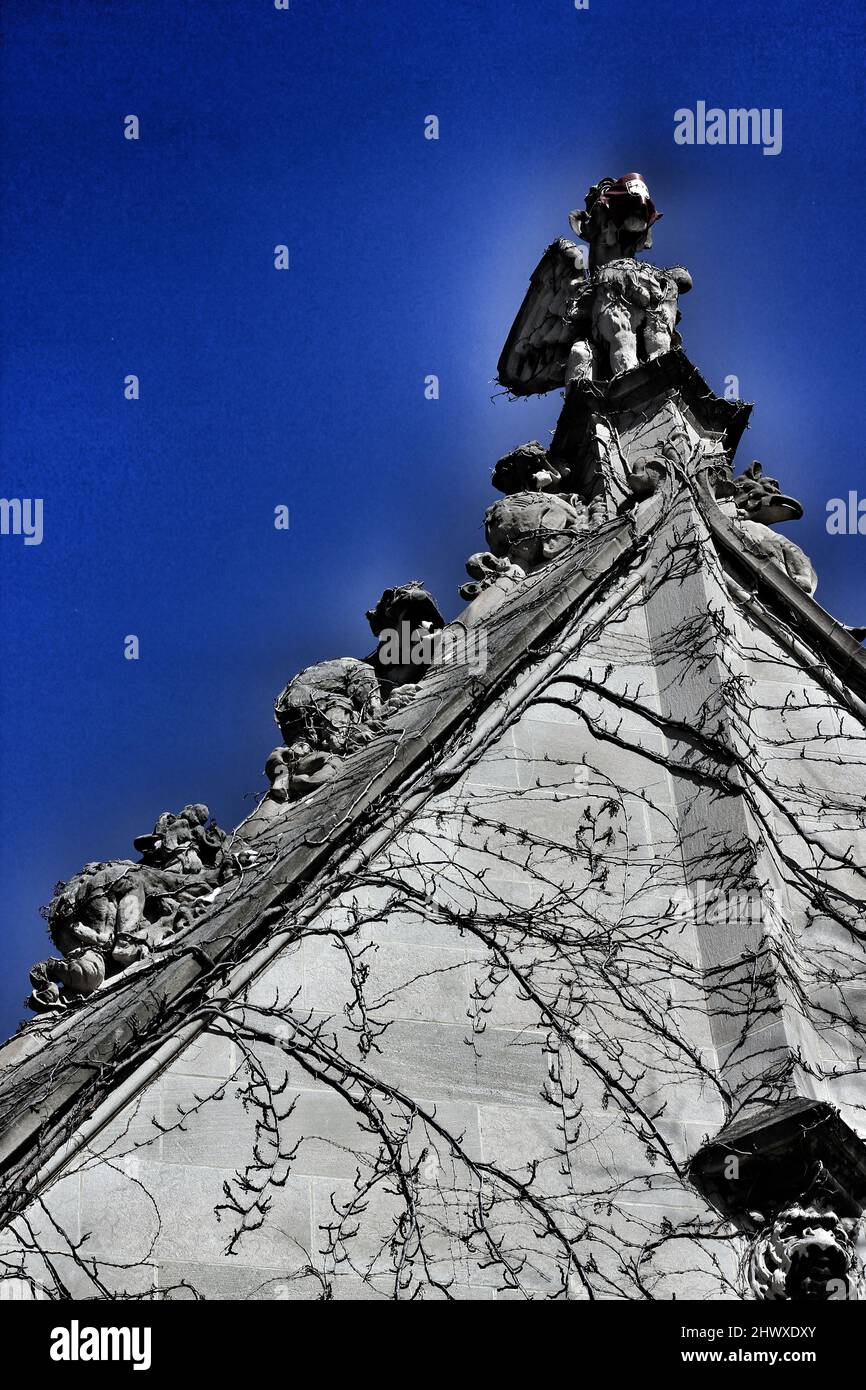 Old Gothic medieval gargoyle wearing a covid 19 pandemic face mask ...