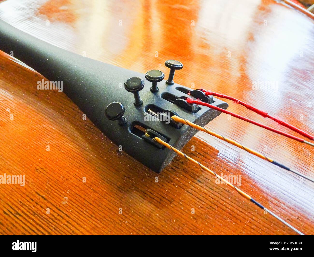 Carlos Roberts master luthier violin maker choosign the right bridge ...