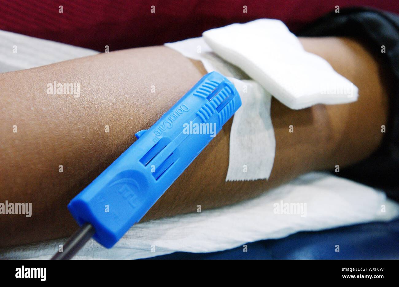 A cannula inserted into the arm of a blood donor Stock Photo - Alamy