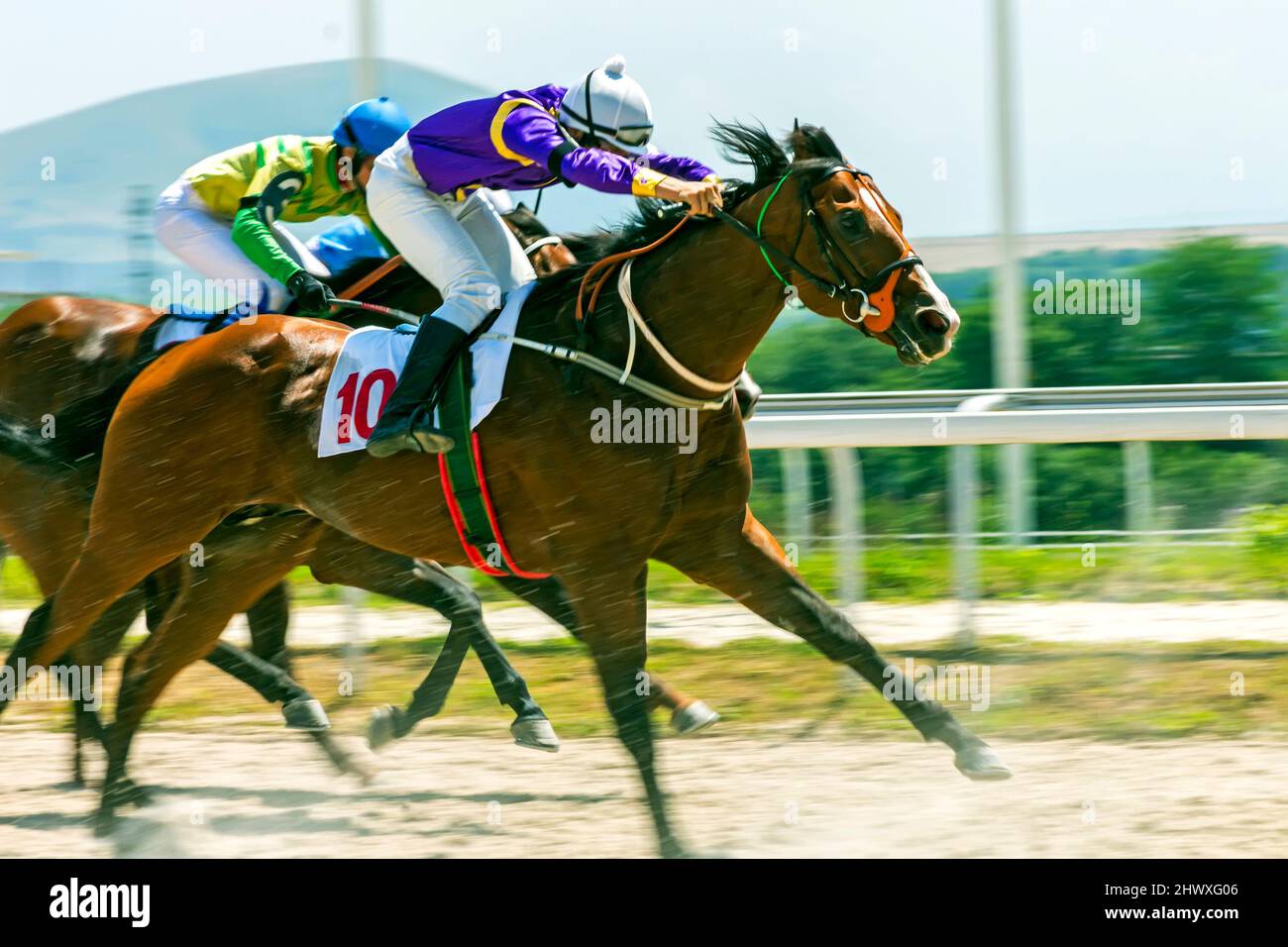 Horse race to a Sprint Prize in Pyatigorsk hippodrome Stock Photo - Alamy