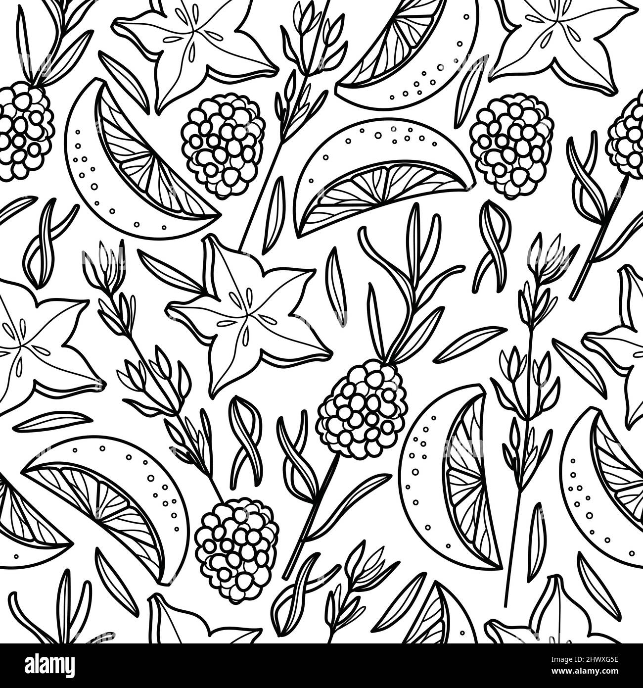 Citrus and herbs Stock Vector Images - Alamy