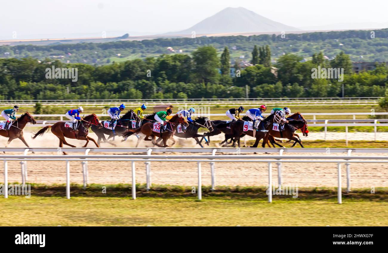 PYATIGORSK,RUSSIA - JULY 5,2020:Start horse race for of the Trial Prize ...