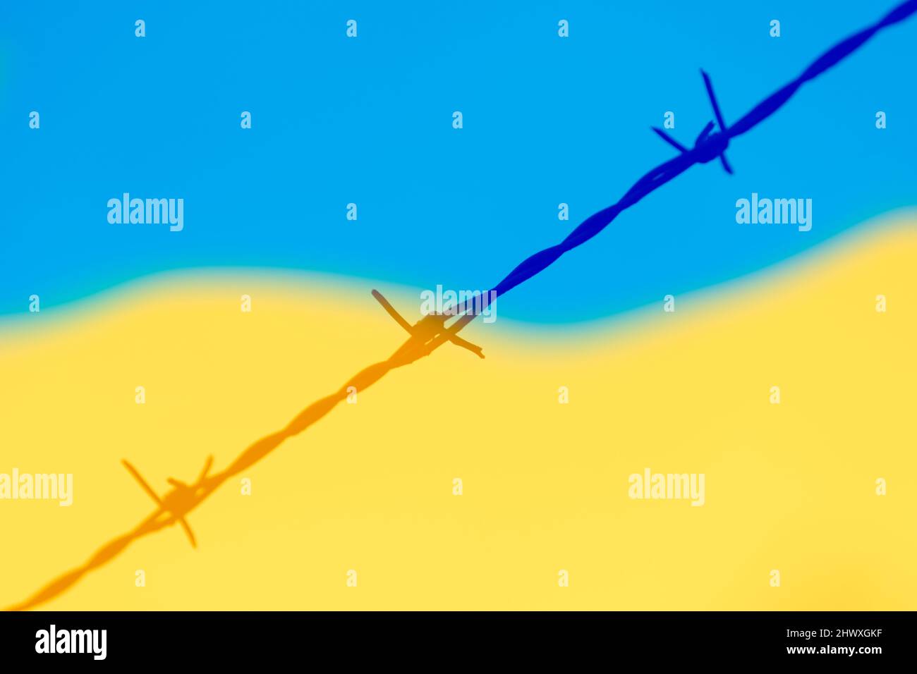 barbed wire and colors of ukrainian flag as symbol for refugees by ...