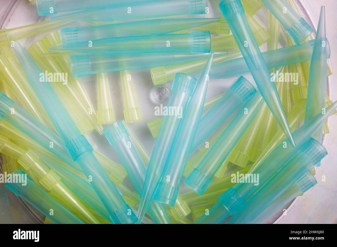 Collection of multicoloured pipette tips Stock Photo - Alamy