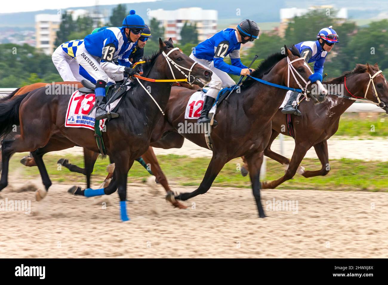 Horse race to a Sprint Prize in Pyatigorsk hippodrome Stock Photo - Alamy