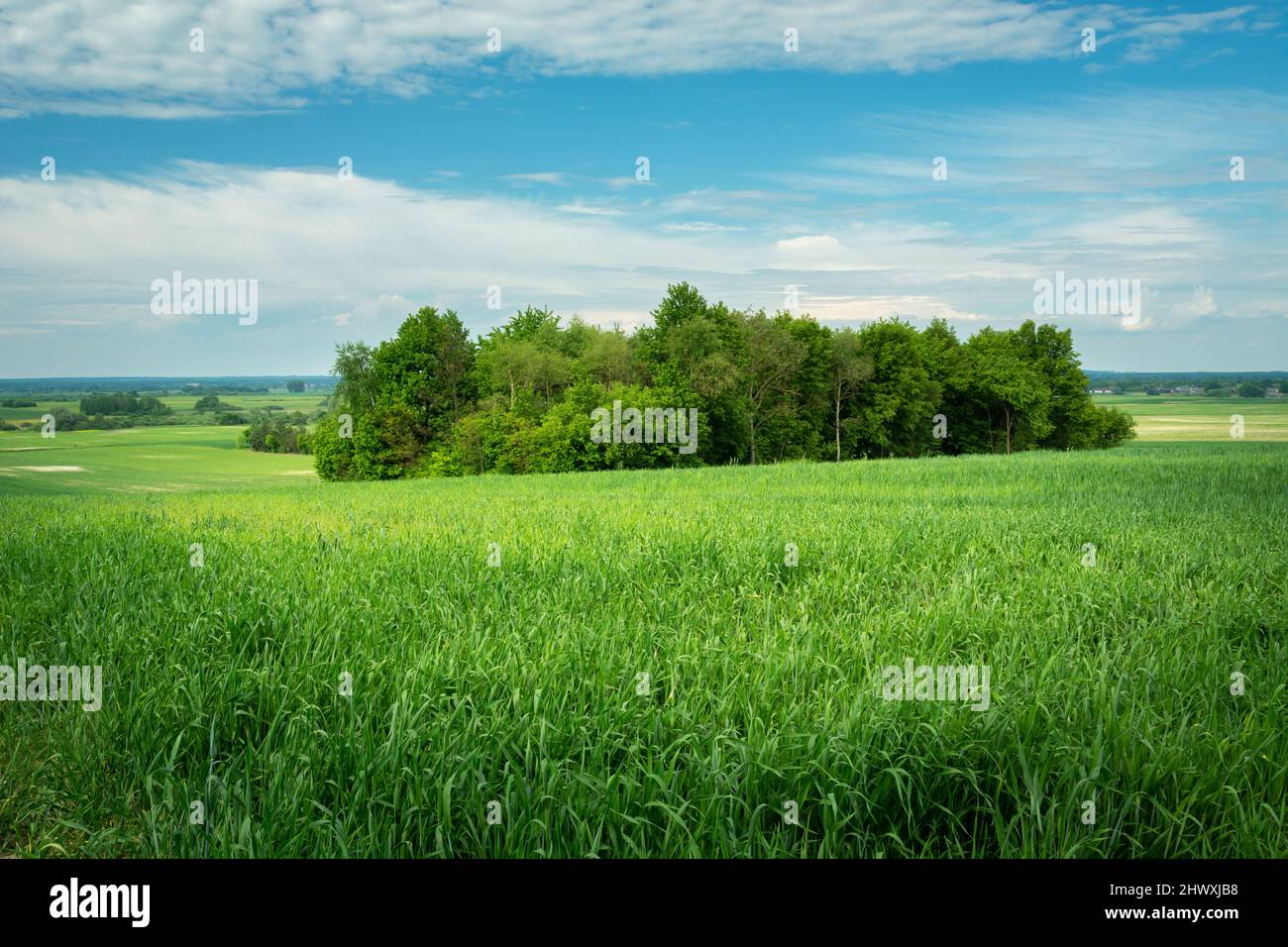 Small hill in the forest hi-res stock photography and images - Alamy