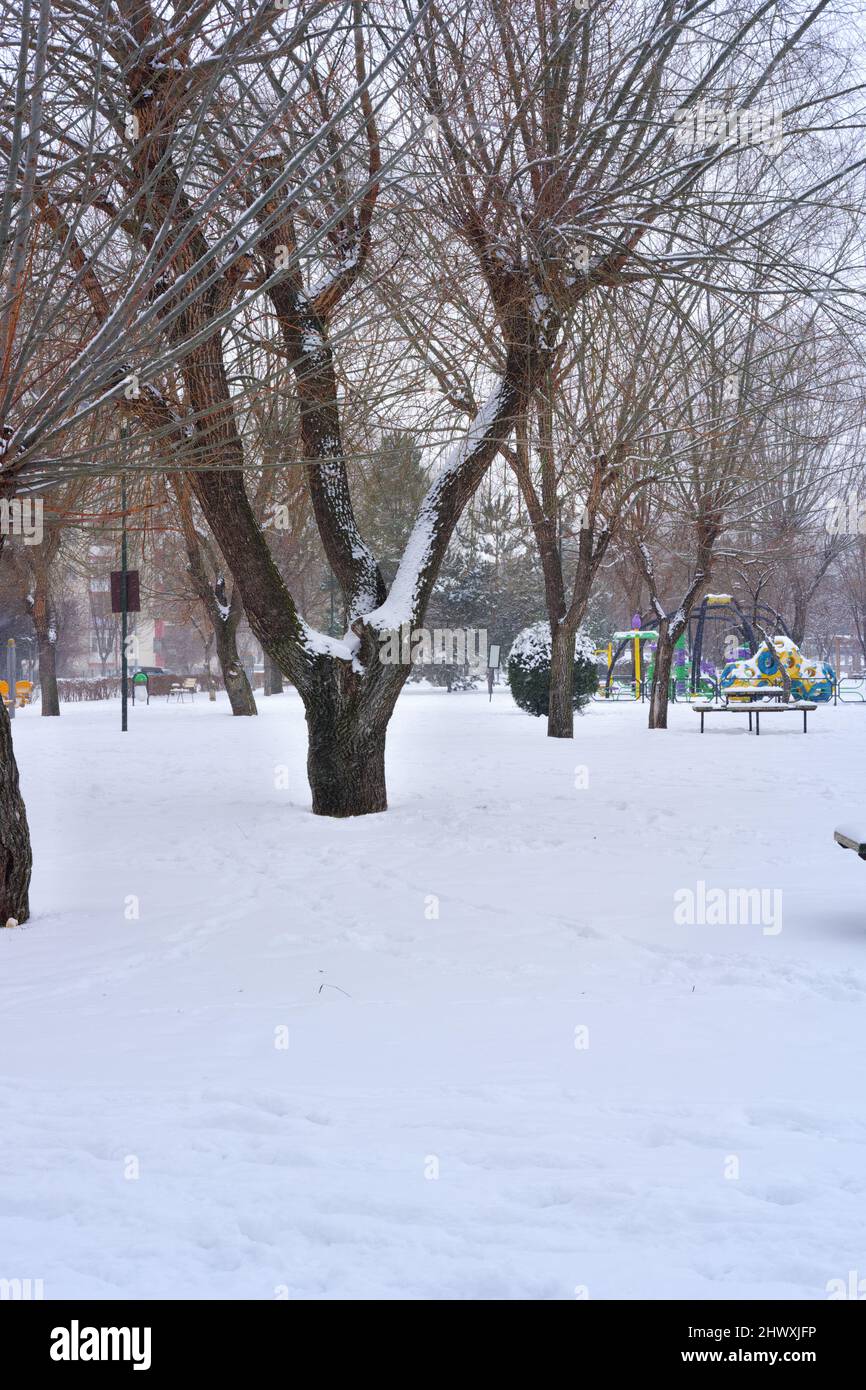 Trees at snowy urban landscape Stock Photo - Alamy
