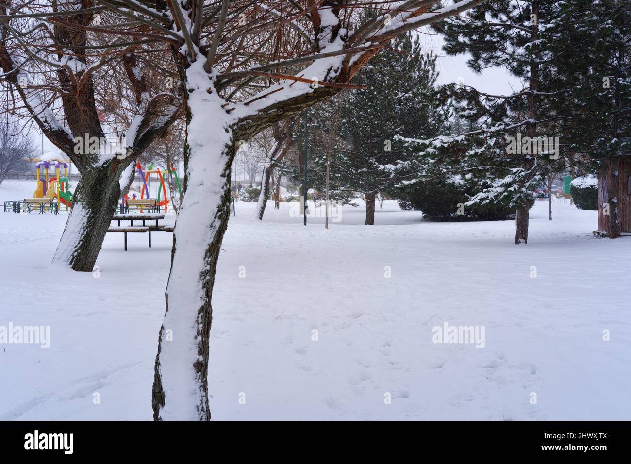 Place to sit under trees hi-res stock photography and images - Alamy