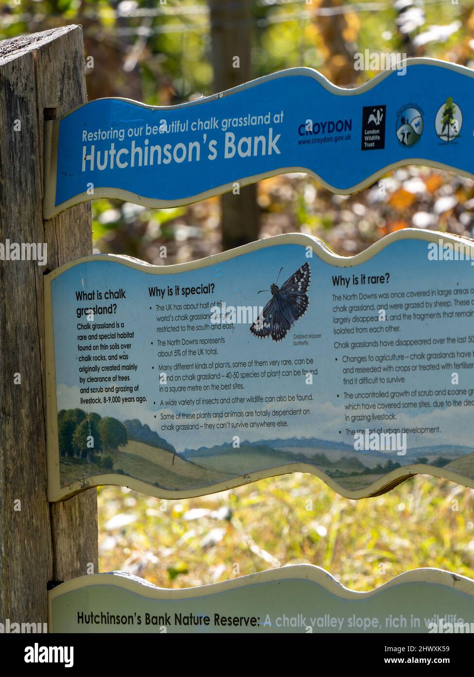 Hutchinson’s bank hi-res stock photography and images - Alamy