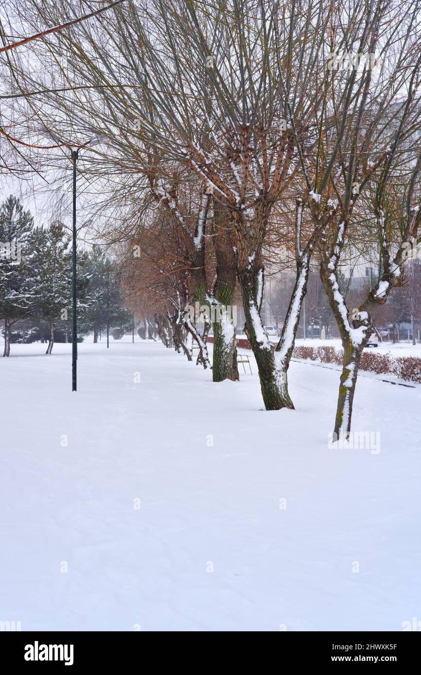 Place to sit under trees hi-res stock photography and images - Alamy