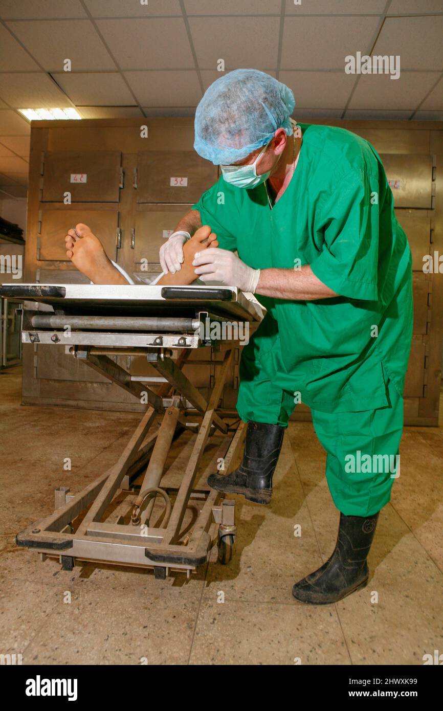 A pathologist examines a cadaver in a mortuary (MODEL RELEASED Stock ...