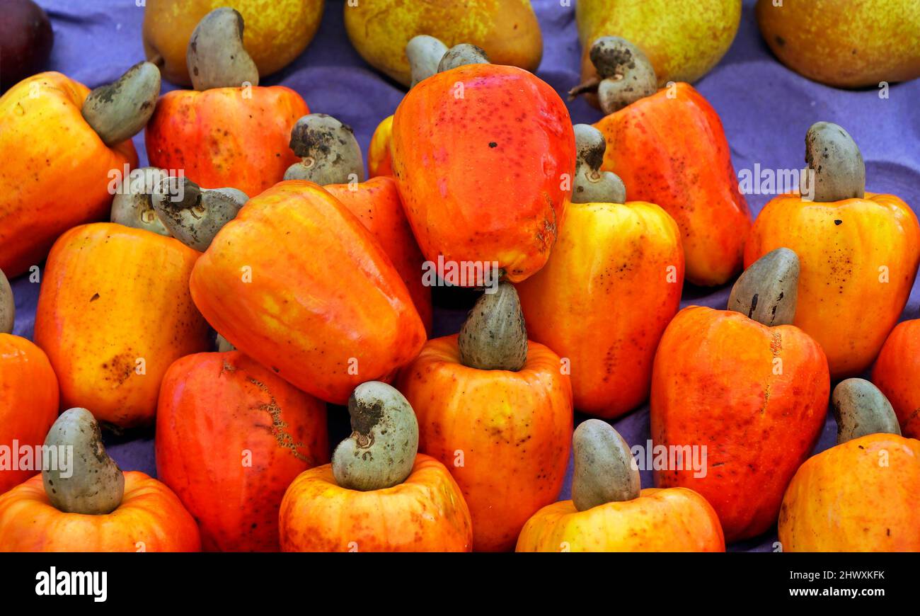 Cashews fruits (Anacardium occidentale) on marketplace Stock Photo - Alamy