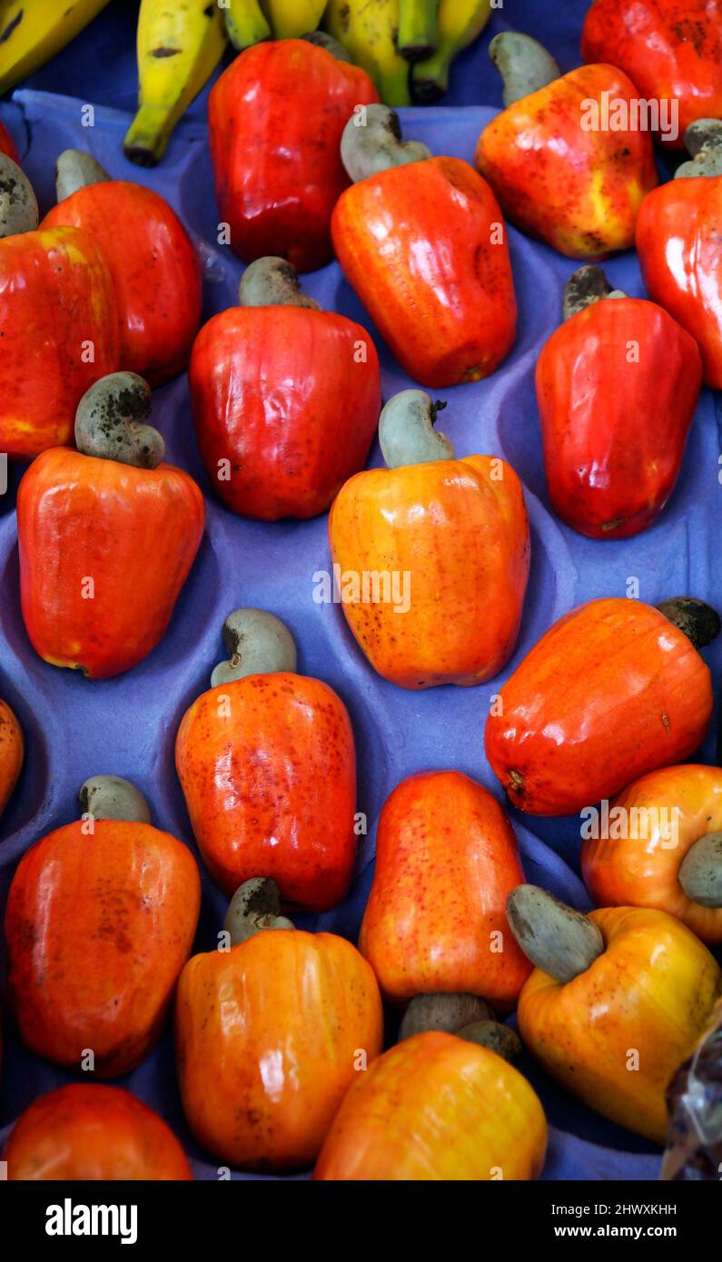 Cashews fruits (Anacardium occidentale) on marketplace Stock Photo - Alamy