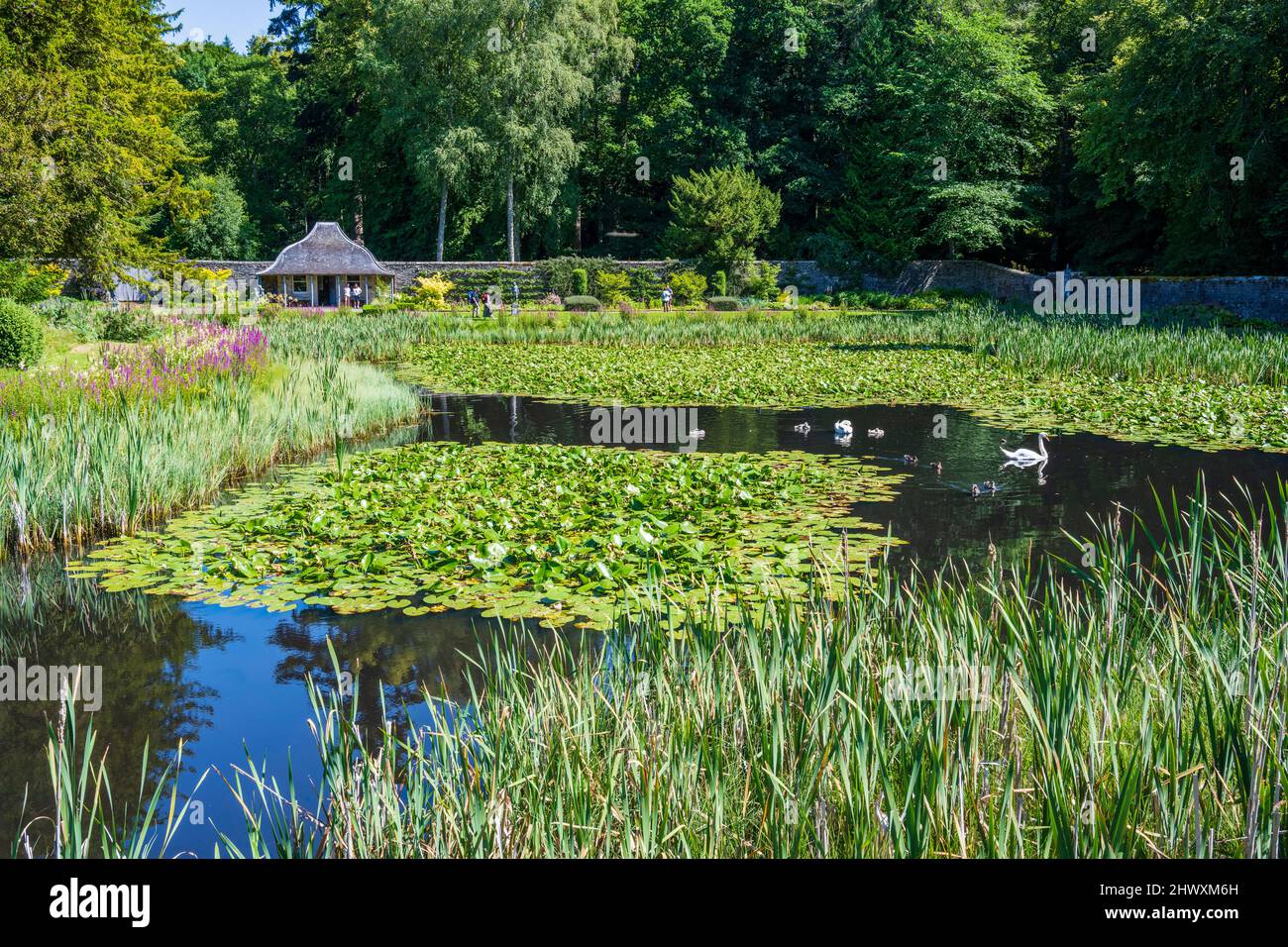 Ornamental pond in Hercules Garden in the grounds of Blair Castle near ...