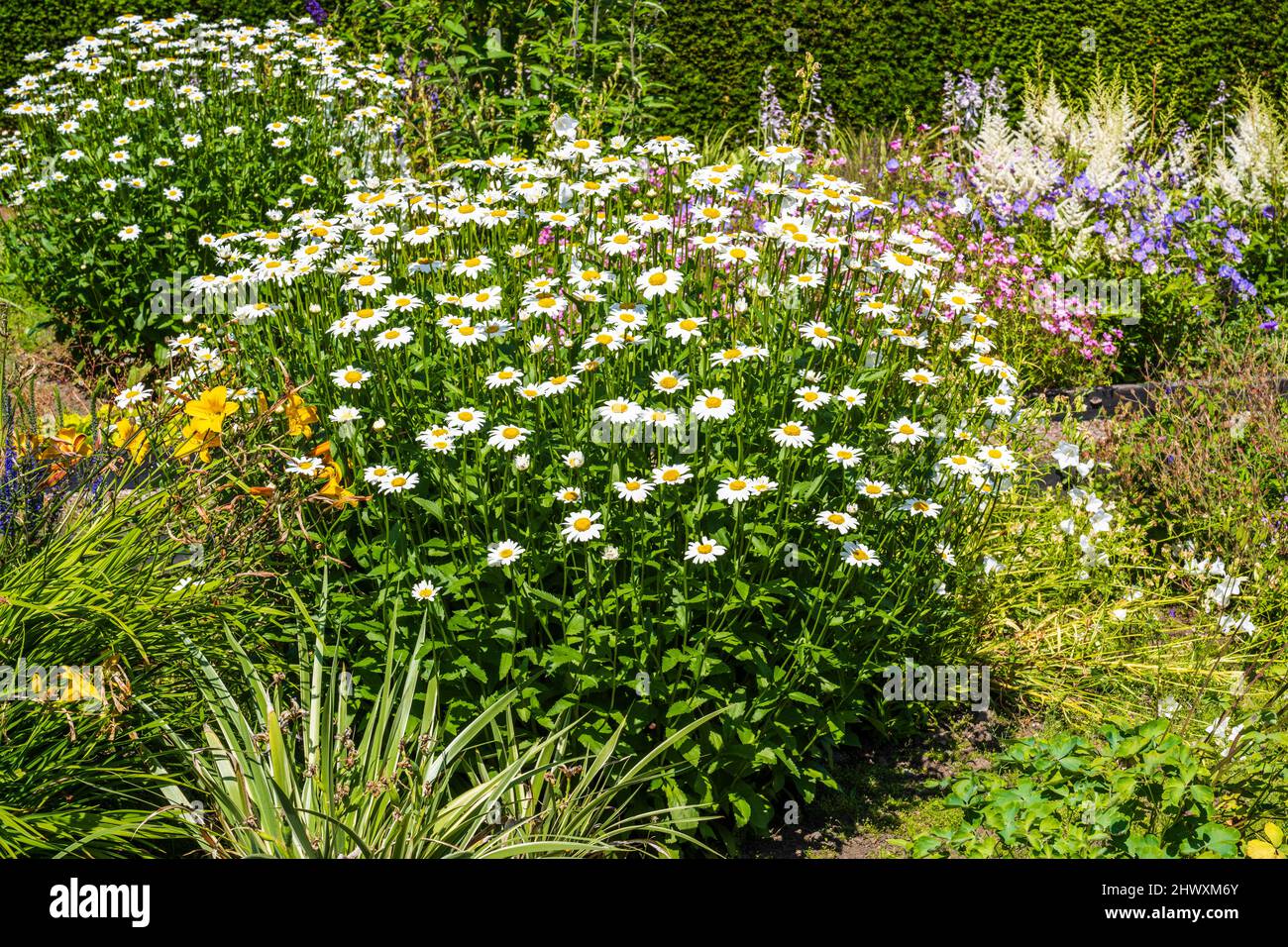 Herbaceous border in Hercules Garden in the grounds of Blair Castle ...